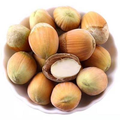 大榛子 东北野生坚果零食新鲜去绿皮笨炒手拍水仁500g包邮特产