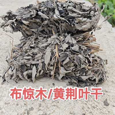 黄荆枝叶晒干布荆枝叶五指风布惊叶碱水粽原料自然晒干切断干货