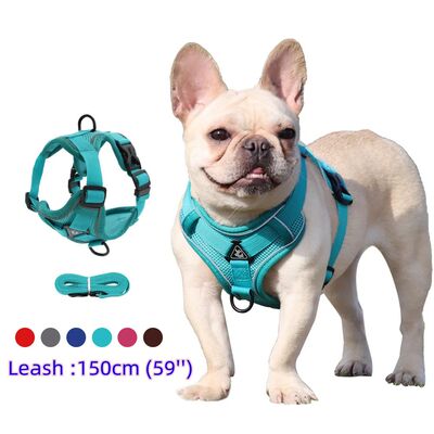 Harness and Leash Set Pet Accessories Dog Harness For Small