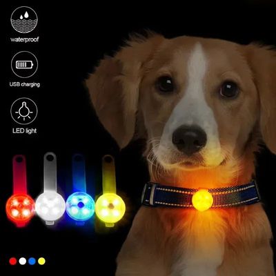 Dog collar, loss collar, weatherproof LED safety light, USB