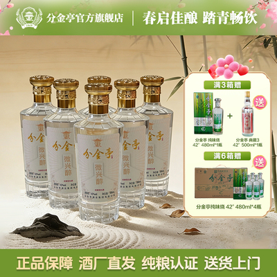 分金亭-微兴醉42度500ML*6瓶 小礼盒 固态纯粮 入口绵柔饮后舒适