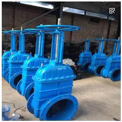 非实价议价议价RVCX暗杆弹性座封闸阀 DN500 口径非实价议价议价