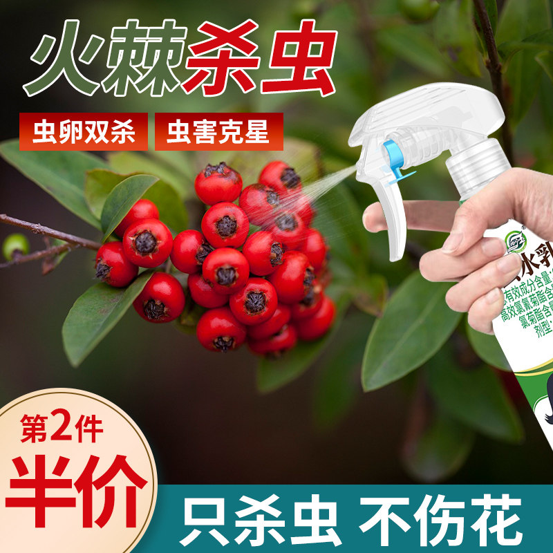 火棘杀虫剂花卉植物土壤灭盆栽小飞虫药蚧壳虫蚜虫打虫家用治虫
