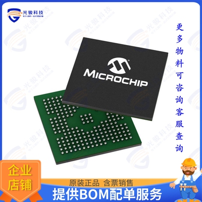 SAM9X75D2GT-I/4TB集成电路ARM926 MPU,2GBIT DDR3L,MIPI,LVDS