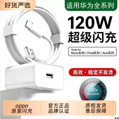 同款超级闪充充电器120W闪充头