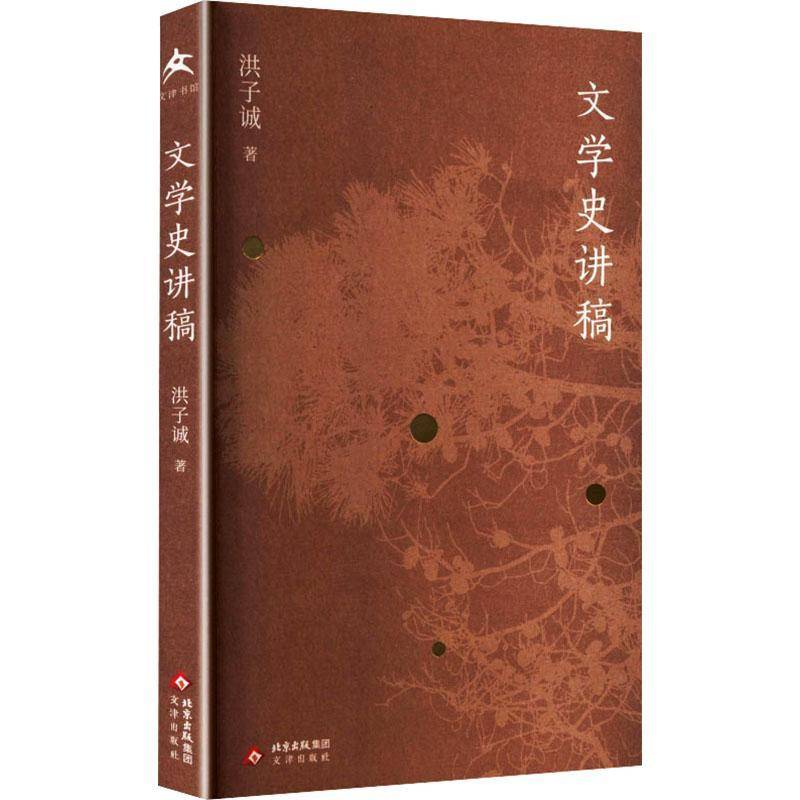 正版文学史讲稿 一部熔铸洪子诚人生经历、感受、思考和困惑的著作 文津出版社 文学书籍 9787805549897
