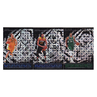 球星卡 博格达诺维奇戈贝尔字母哥泡泡折射帕尼尼20-21illusions