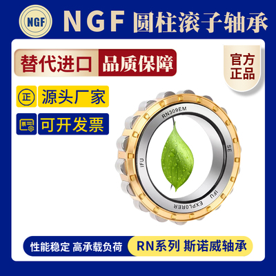 哈尔滨圆柱滚子轴承RN207EM RN208EM RN209EM RN210EM RN211EM