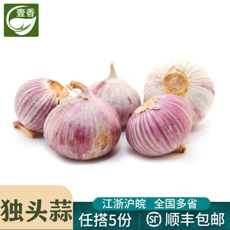 独头蒜500g 独蒜头紫皮红皮干大蒜新鲜蔬菜食用香料 满5件包邮