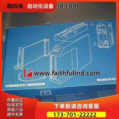 E+H 918177 恩德斯豪斯模块【议价】
