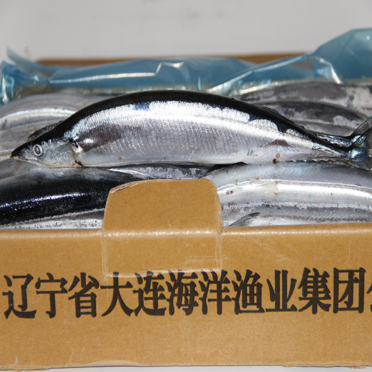 新到货1斤4条冷冻秋刀鱼烧烤海鲜