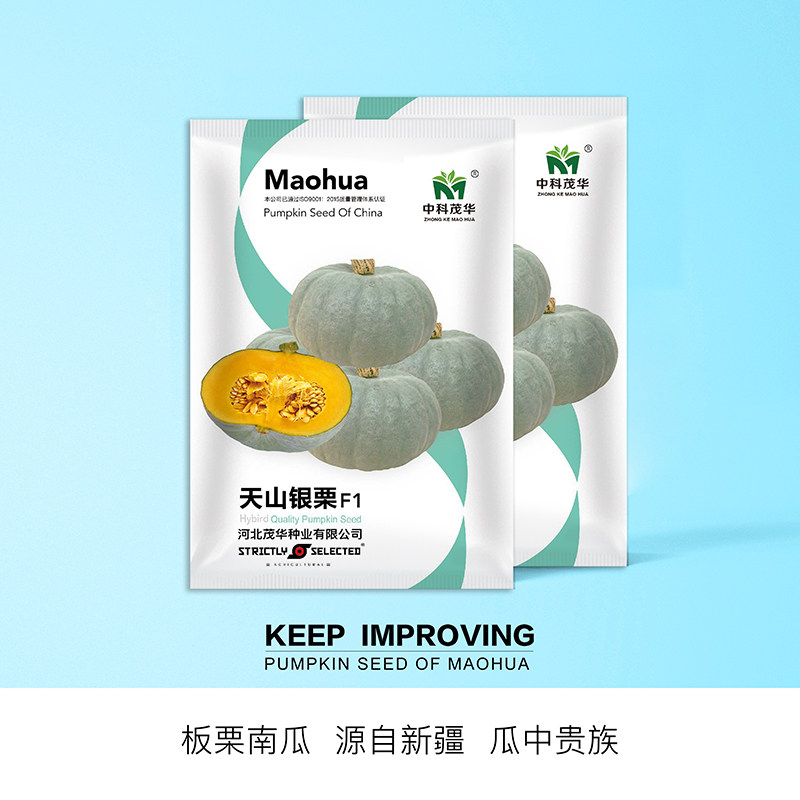 中科茂华银栗南瓜种子天山银栗源自新疆板栗南瓜种子甜面粉糯