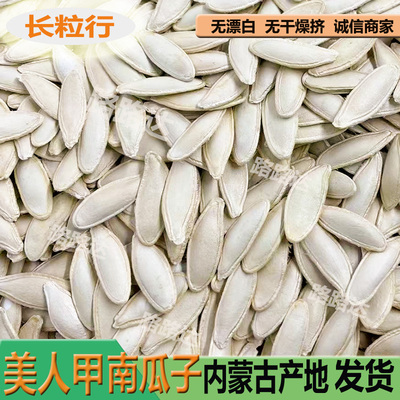 美人甲南瓜子新货内蒙大颗粒新鲜带壳原味大白长片长粒南瓜籽发批