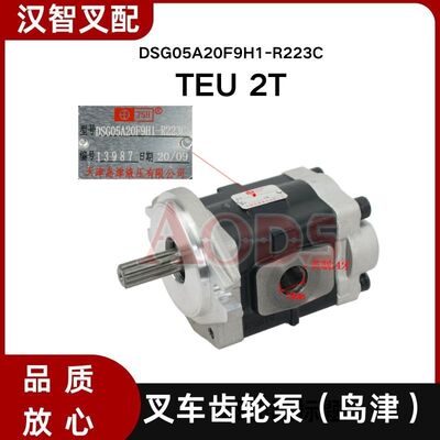 TEU 2T 电动叉车齿轮泵岛津液压泵  DSG05A20F9H1-R223C