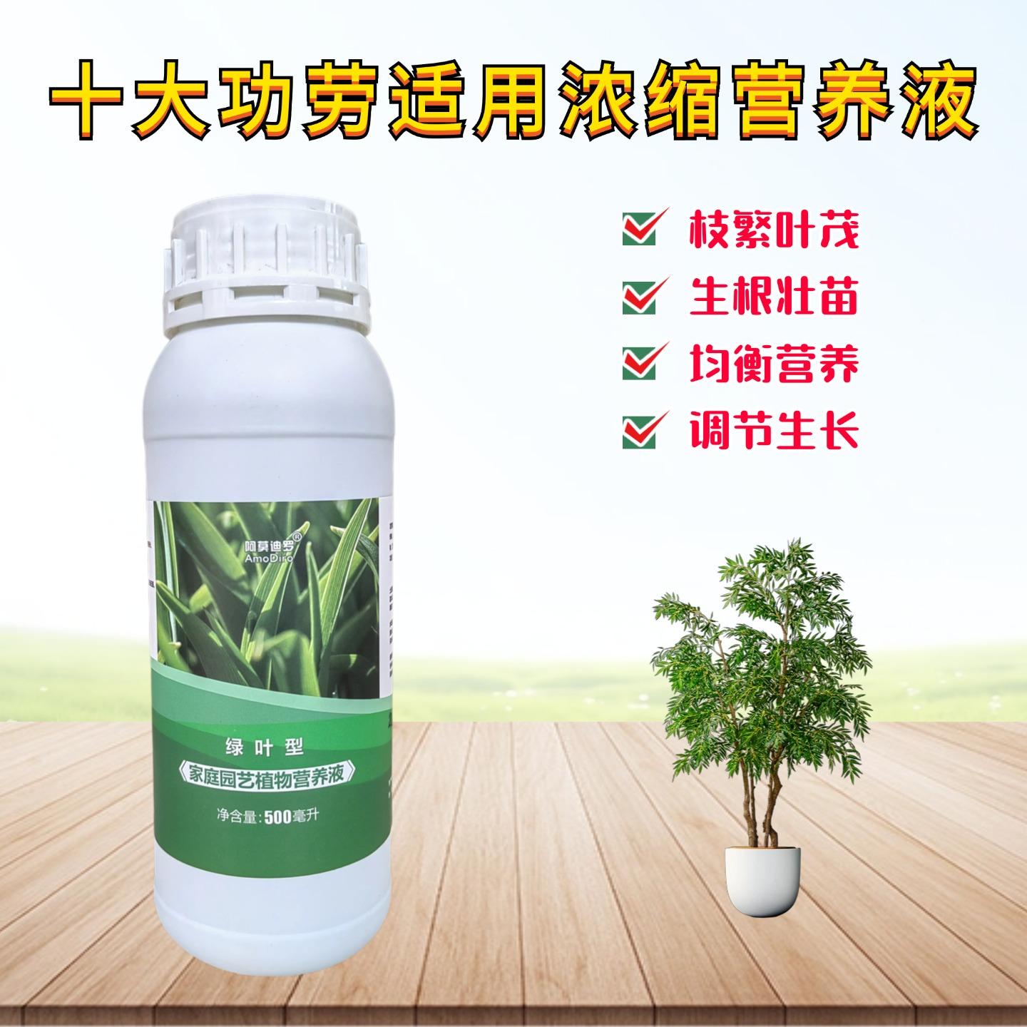 狭叶十大功劳黄天竹营养液阔叶老桩盆景绿植专用氮磷钾水溶花肥料
