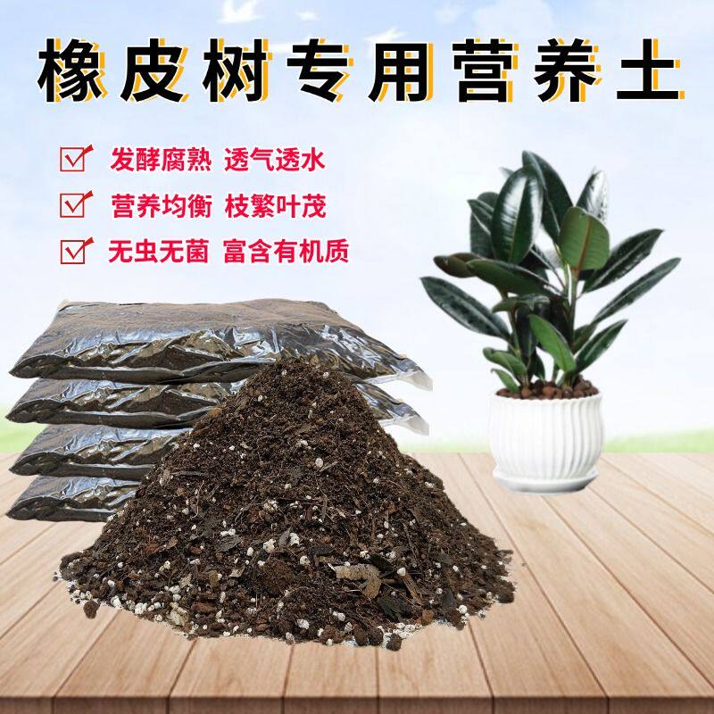 橡皮树黑金刚专用椰砖土办公室内阳台大型盆景栽绿植物种植土透气