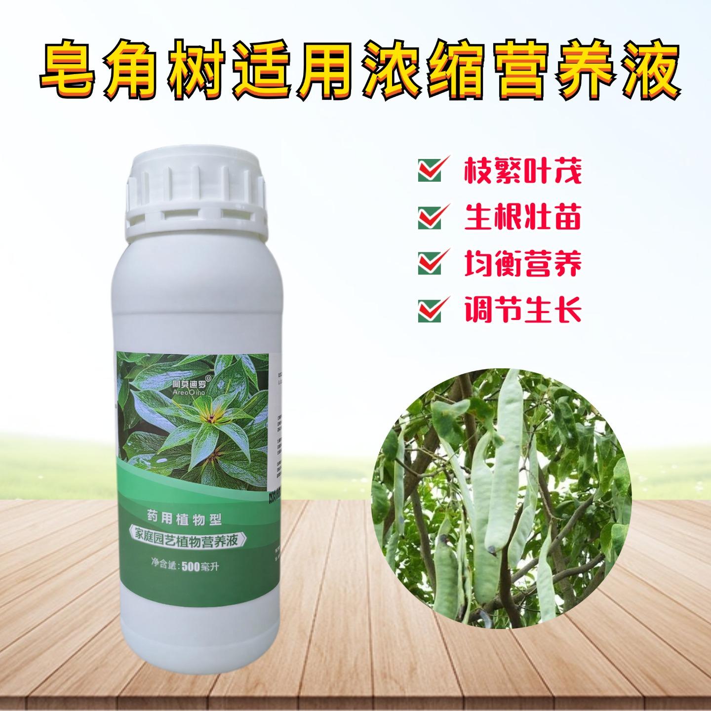皂角树浓缩营养液庭院大刺盆栽地栽绿植物专用氮磷钾水溶花木肥料