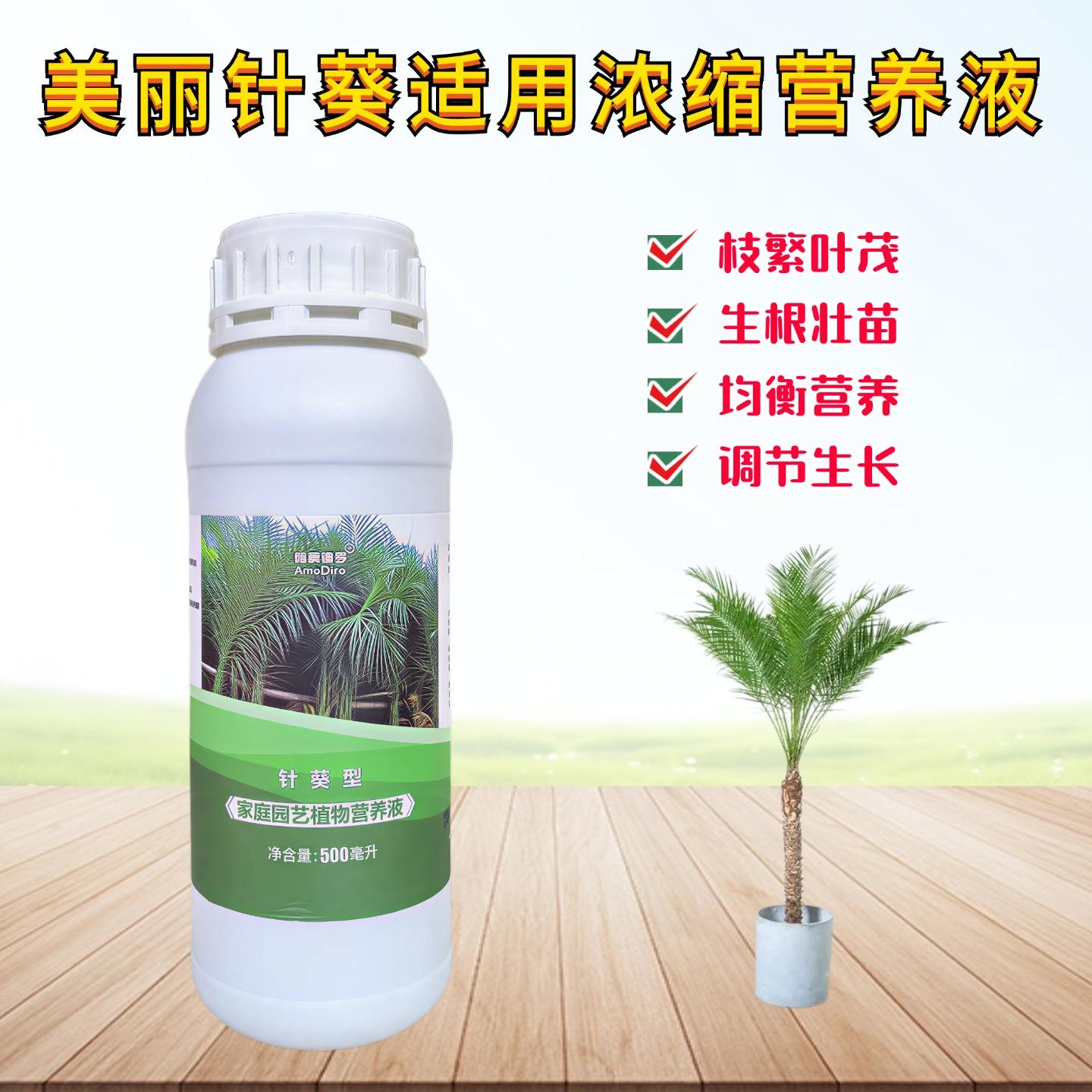 美丽针葵泰国椰子树刺葵浓缩营养液盆栽绿植黄叶专用氮磷钾花肥料