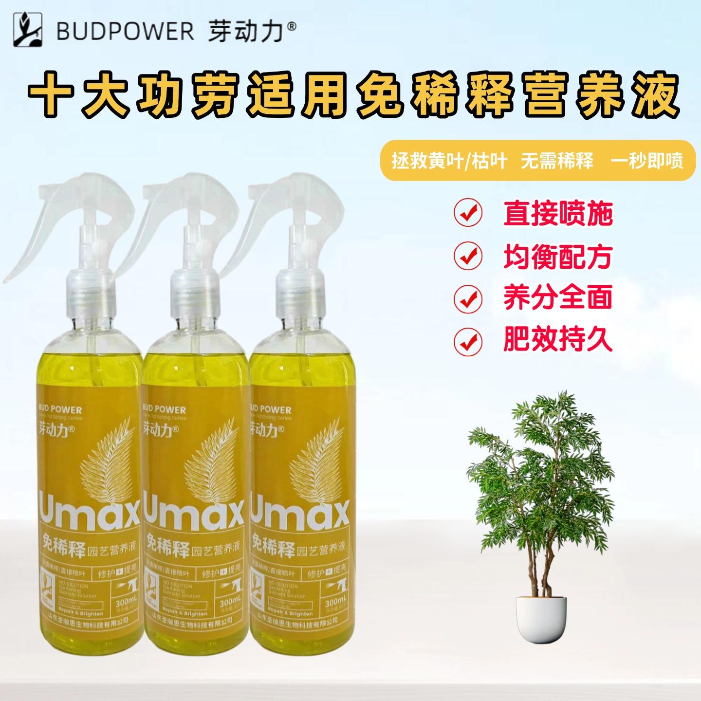 狭叶十大功劳黄天竹免稀释营养液阔叶盆景绿植花专用喷施叶面肥料