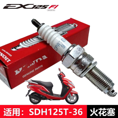 新大洲本田EX125火花塞火咀
