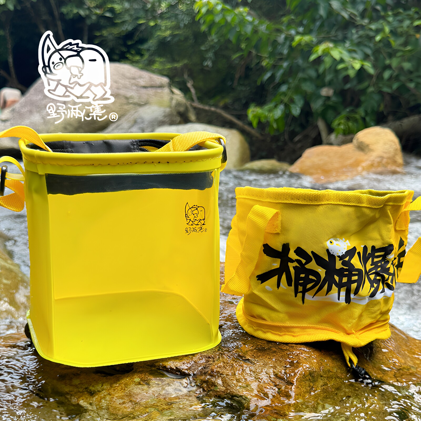 鱼桶折叠透明水桶钓鱼观察装鱼便携小巧小物钓户外野钓狗狗喝水碗