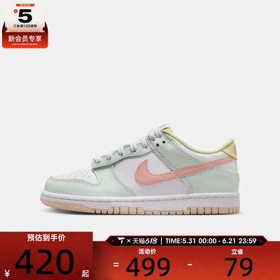 NIKE耐克大童DUNK  BG运动休闲鞋IV2861-181