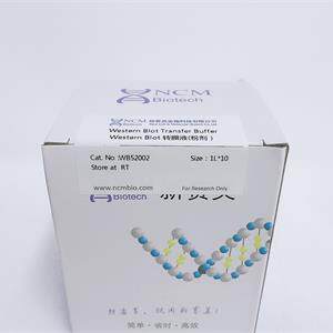 新赛美 WB52002 Western Blot 转膜液（粉剂）1L*10包
