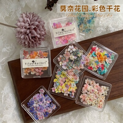 YIFANNAIL【莫奈花园】日系BLC干花素材 美甲干花饰品T41