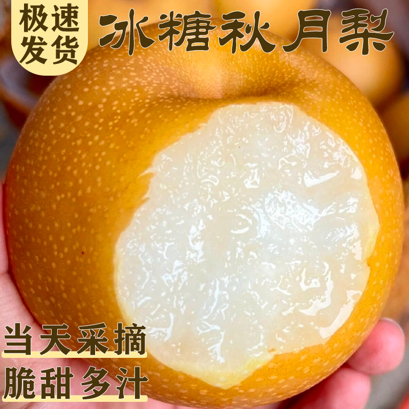 正宗秋月梨应季肉脆清甜新鲜冰糖梨子当季水果现摘多汁脆甜