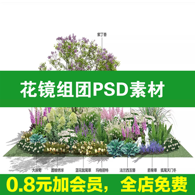 公园花园庭院市政绿化花境植物组团花镜组合设计ps素材psd分层