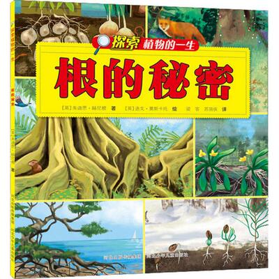 根的秘密 河北少年儿童出版社 (英)朱迪思·赫尼根(Judith Henghan) 著；(英)迭戈·莫斯卡托(Diego Moscato) 绘；梁容,苏丽侠 译