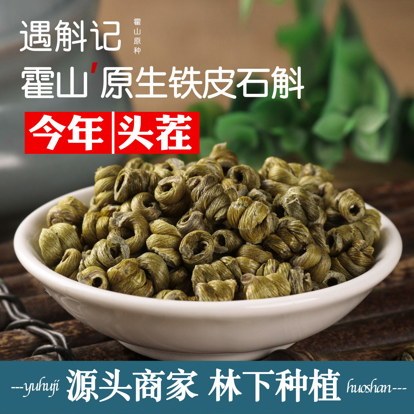 遇斛记四年霍山铁皮石斛枫斗原种石斛林下种植新鲜条加工中药材