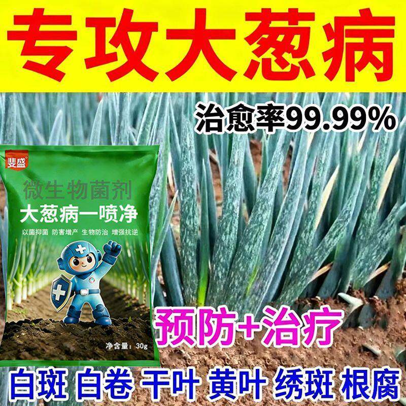 大葱腐烂病烂根沤根急救高温引起葱白软腐病黄叶死苗用微生物菌肥