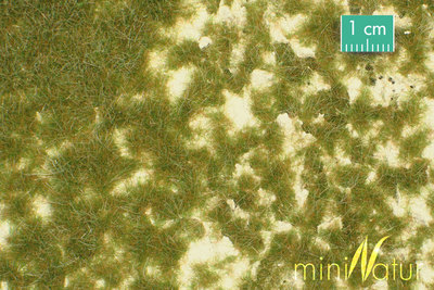 现货草簇植株微缩模型