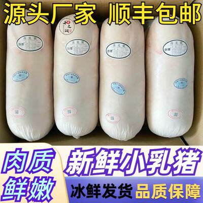 新款 新鲜烤乳猪整只乳猪鲜冻3-50斤广东脆皮香猪肉生鲜酒店烧烤