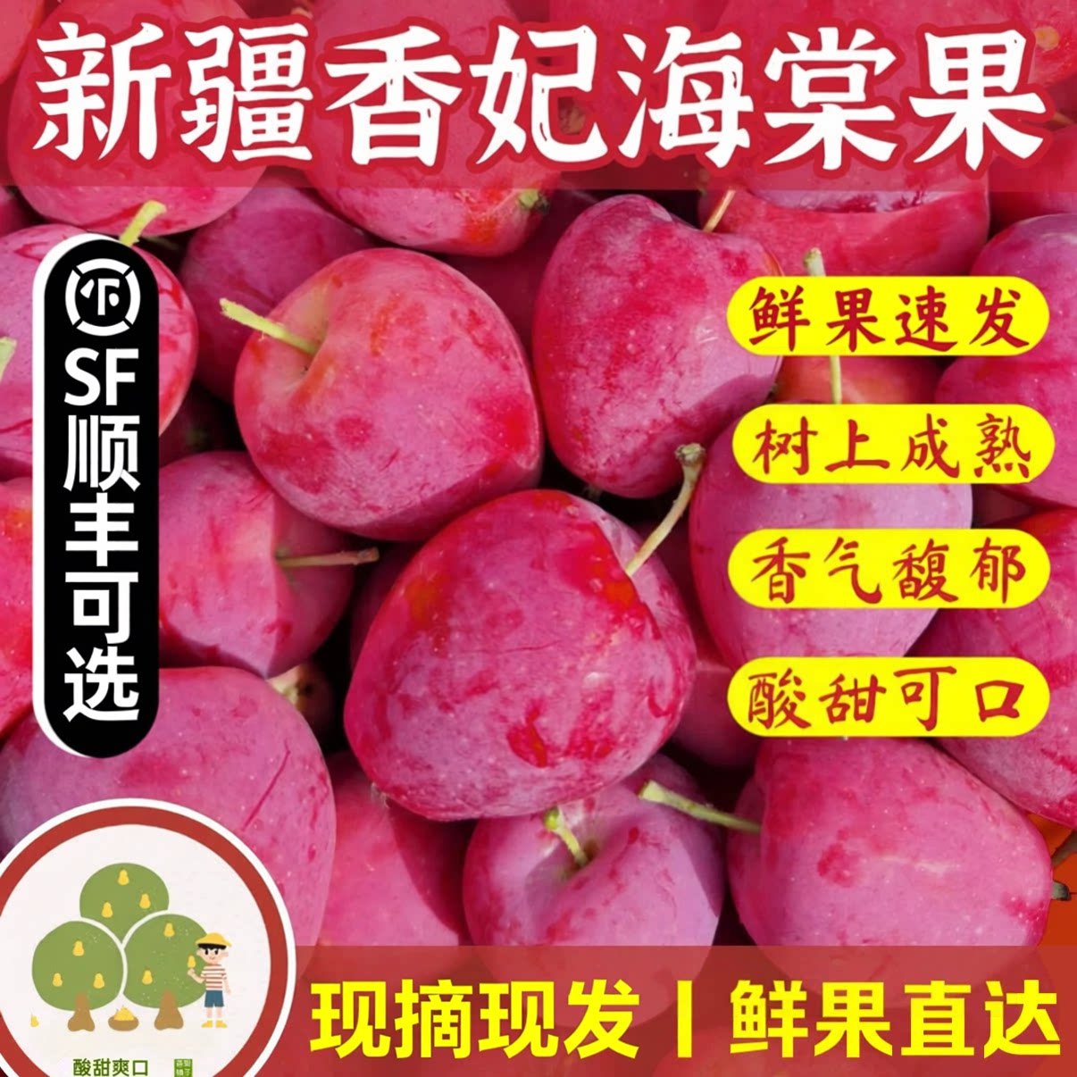 新疆鸡心果香妃海棠果脆甜小苹果当季鲜果现摘现发整箱顺丰可选