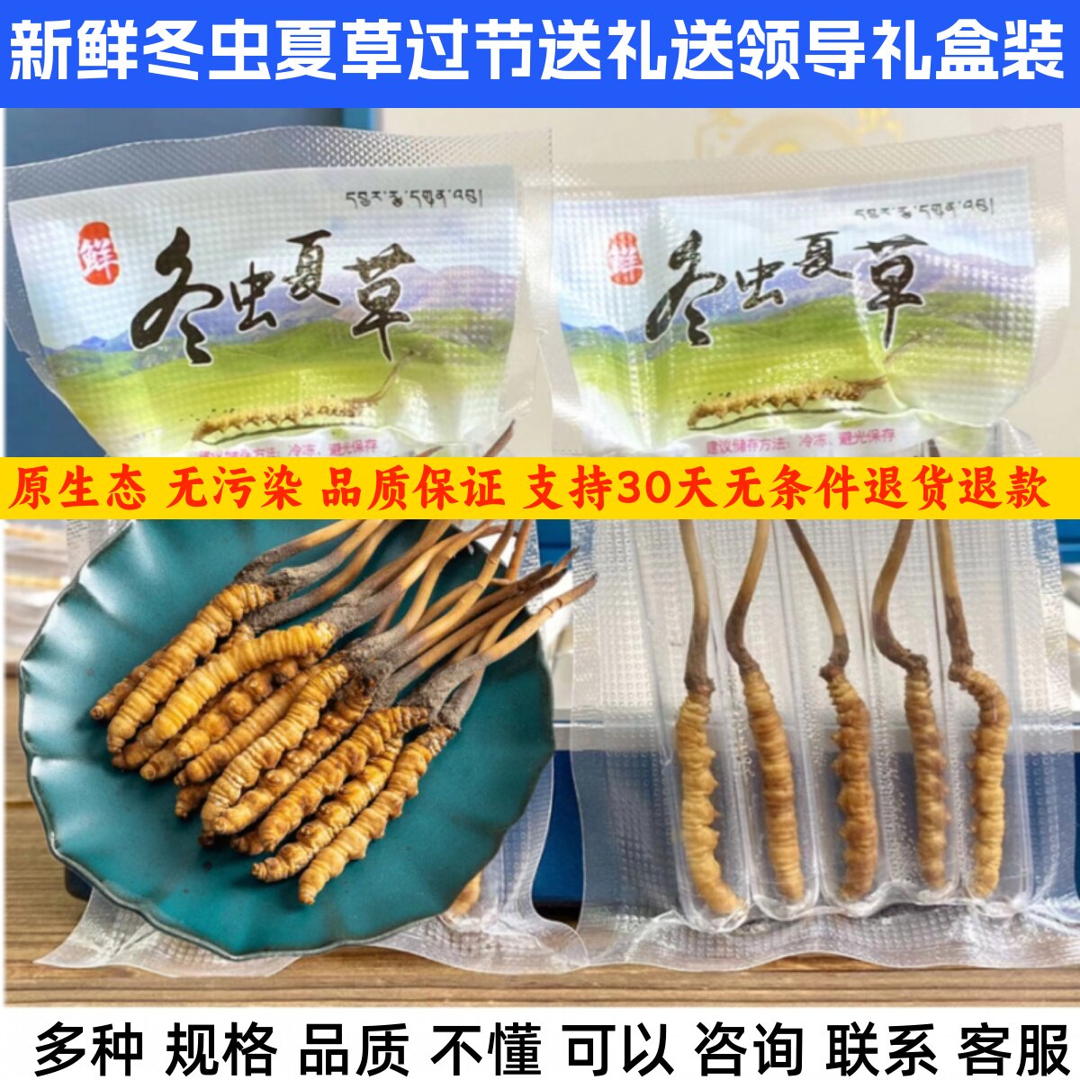 正品那曲头期草新鲜冬虫夏草西藏虫草0.8克/根鲜虫草旗舰店礼盒装