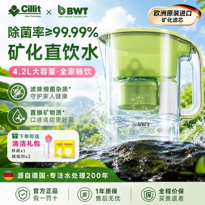 德国水丽BWT直饮家用净水壶