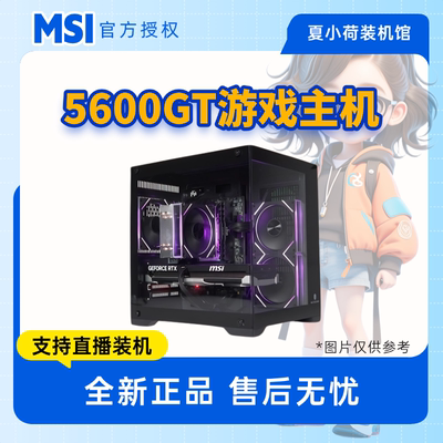 元旦 核显 办公机特惠5600GT  办公主机/组装机