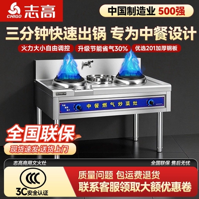 志高文火灶商用新款饭店专用天然