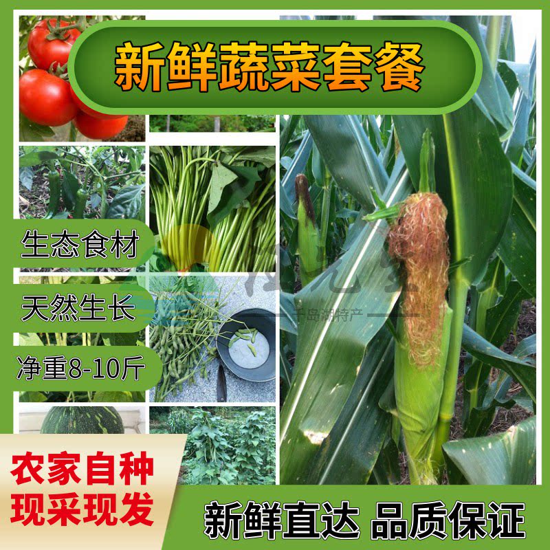 时令菜千岛湖农家种植新鲜蔬菜套餐胡萝卜黄瓜豆番茄辣椒现摘蔬菜