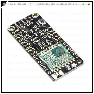 3231【LORA RADIO FEATHERWING - RFM95W】