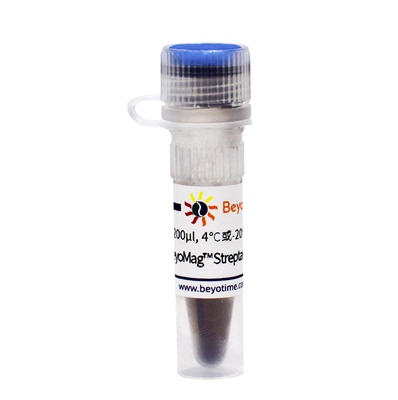 BeyoMag™ Streptavidin Magnetic Beads (链霉亲和素磁珠)