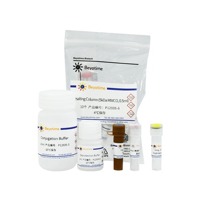 Sulfhydryl快速标记试剂盒  P1293S