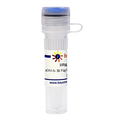 pCMV-N-3X Flag-SUMOEU1-MCS-Avi-IRES-BirA (生物素标记质粒)