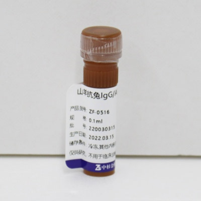 ZF-0516-0.1ml Alexa Fluor 594标记山羊抗兔IgG H+L（亲和纯化）