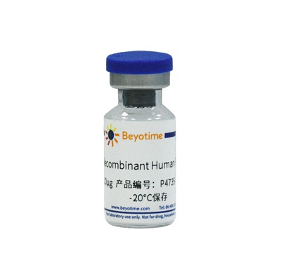 Recombinant Human FGF-4  碧云天  P4735