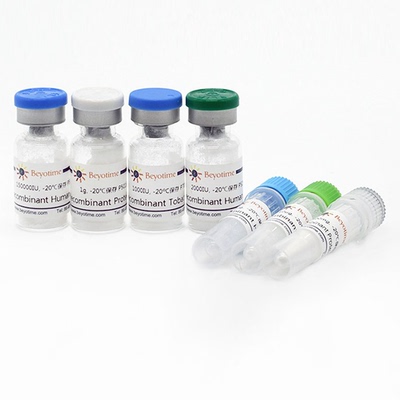 Recombinant Human IL-1α 碧云天 P5102