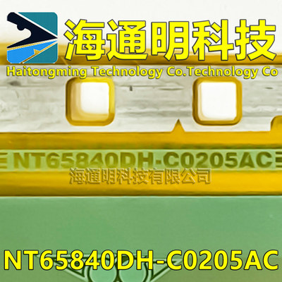 原型号NT65840DH-C0205AC