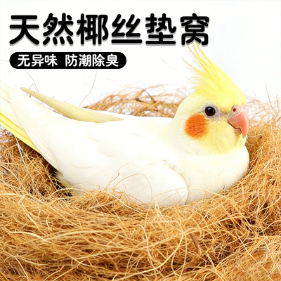 天然椰丝鸟窝垫料鹦鹉玄凤小太阳鹦鹉可用无异味吸水宠物鸟禽垫料